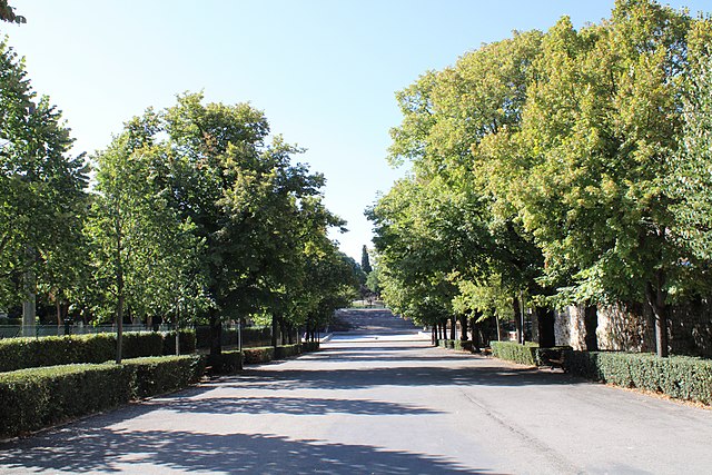 Les bonnes raisons de visiter Aix-en-Provence