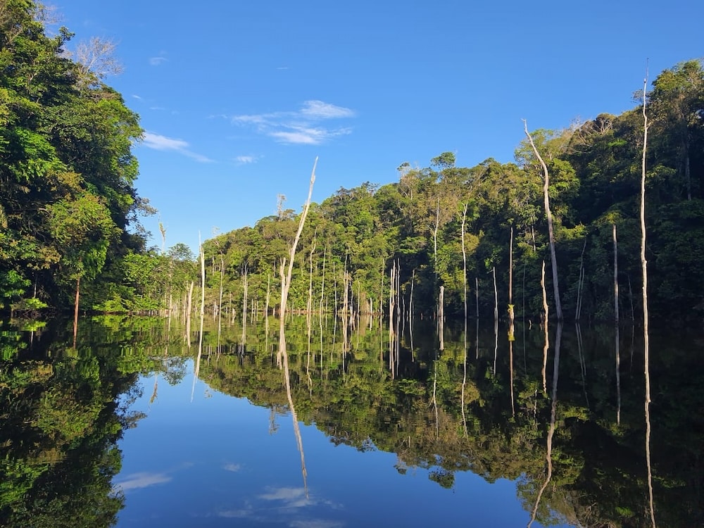 Guyane, une nature souveraine et mouvante - InfoTravel.fr