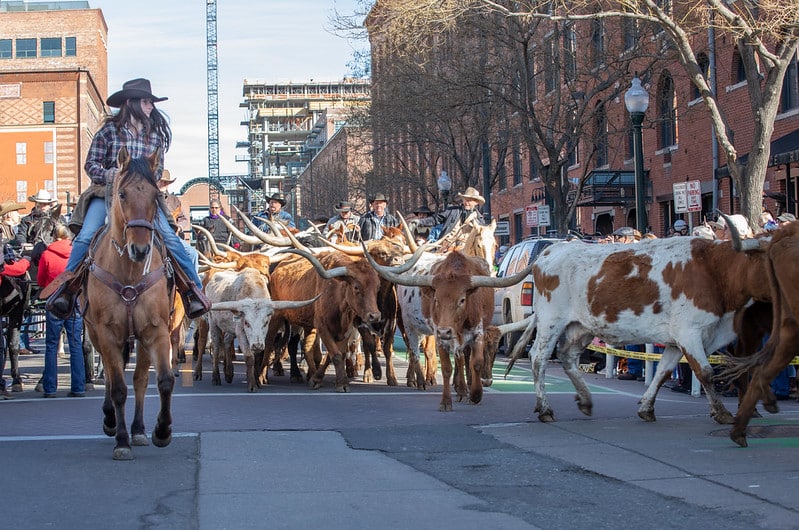 Denver s’anime au National Western Rodeo - InfoTravel.fr